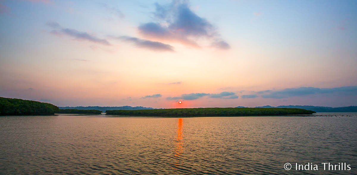20 Best Places to Visit in Andaman (2023) - India Thrills